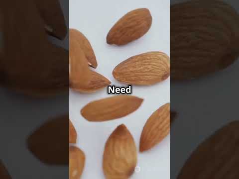 Snack Smarter: Workday Fuel!