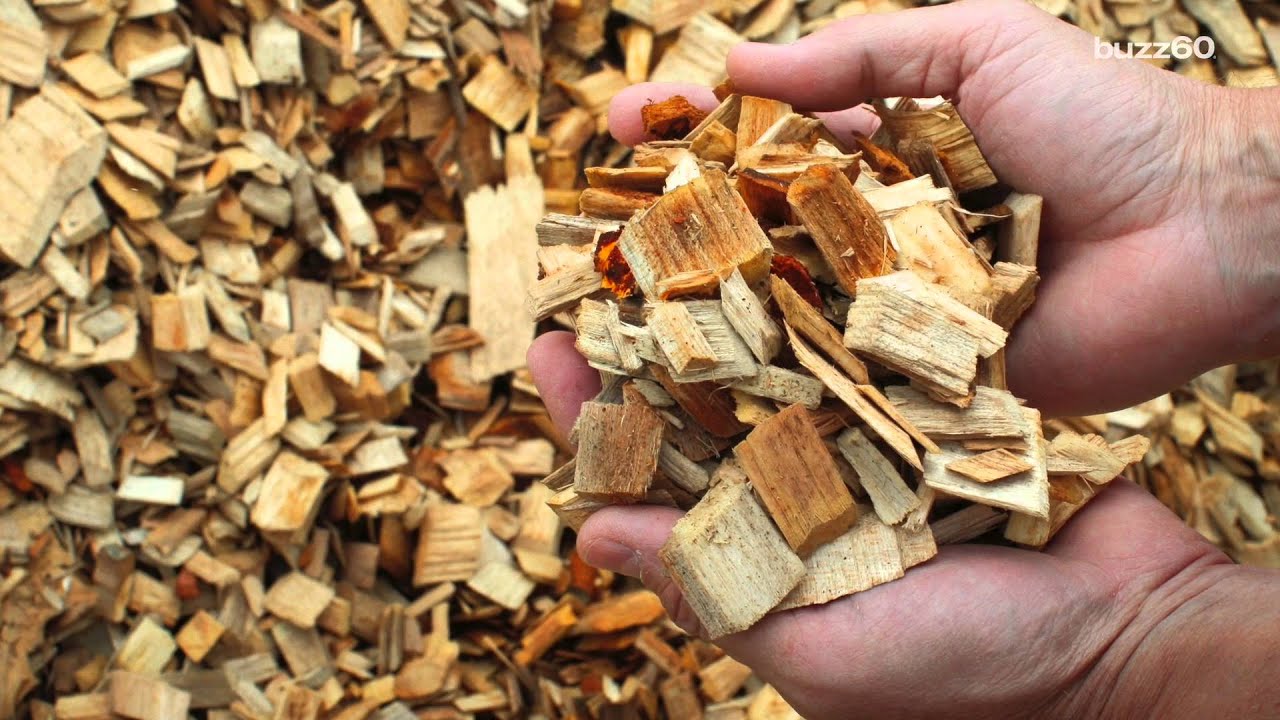 The parmesan cheese you sprinkle on your pasta may be wood