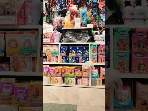 The Dogspot Hatibagan version 2 || A complete Pet store clinic and grooming Station, call 9007919276