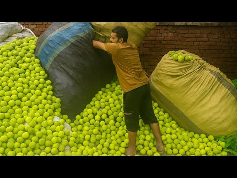 Amazing Tennis Balls Manufacturing Process | How Tennis Balls Are Made
