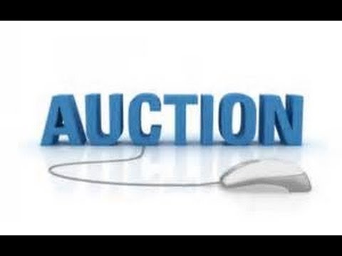 Hubzu | Hudzu Auction | HUD Auction | Homepath | Florida | John Gaudiano