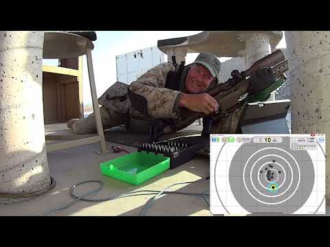 Shortened Eliseo UMRS .223 SLING 300 yards clean 200-16X
