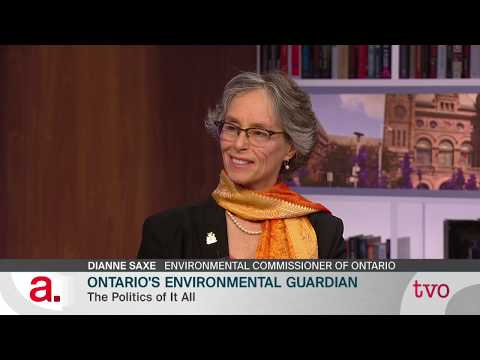 Our Environmental Guardian