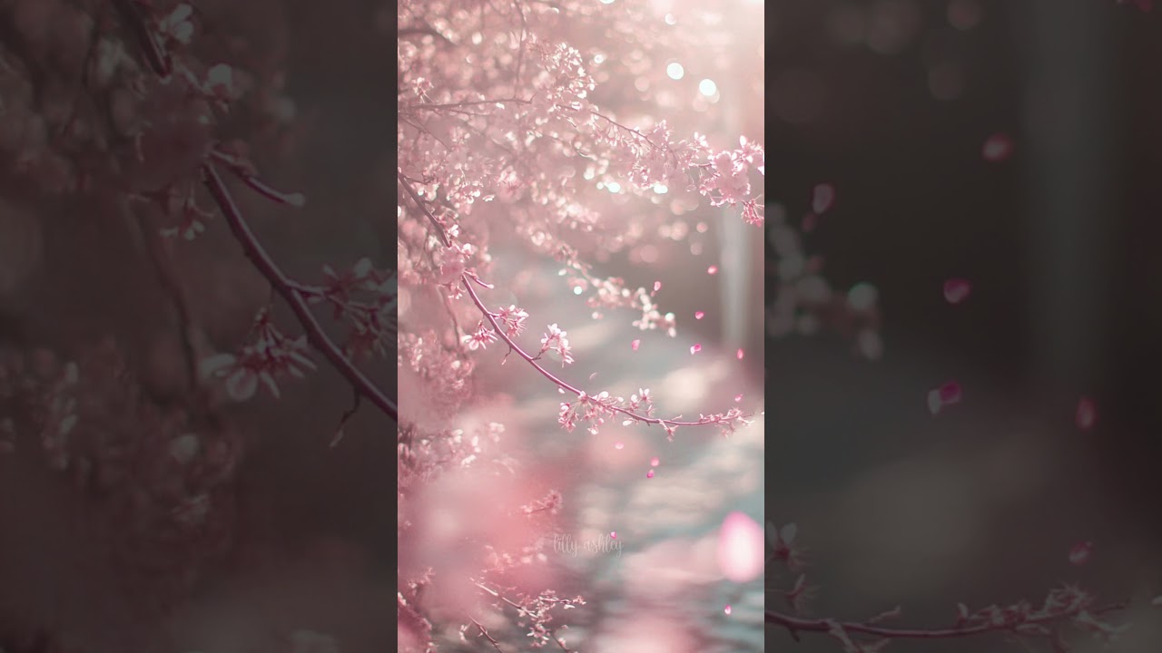 Free Spring Backgrounds for Aesthetic Phone Screen Refresh - iPhone Wallpaper Update #instagramreels