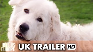 Oddball - movie: where to watch stream online