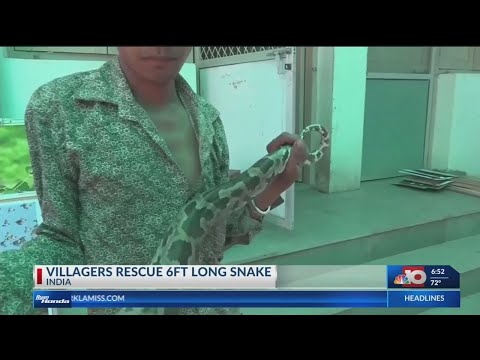 Villagers rescue python