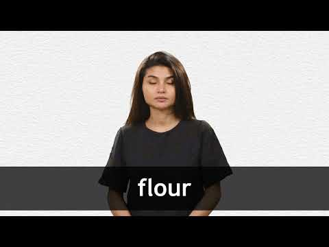 FLOUR definition and meaning | Collins English Dictionary