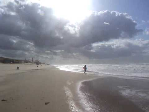 No weather for kites: Andrew's life in The Hague