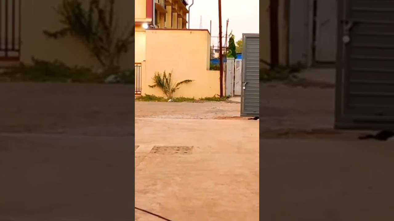 Cantilever Automatic sliding gate....#gates #remotegate #automaticgate #automatic #automation