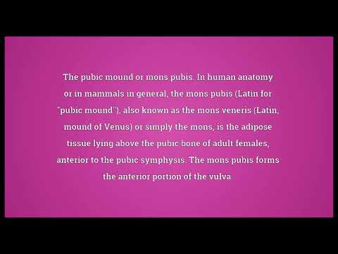 Mons Meaning
