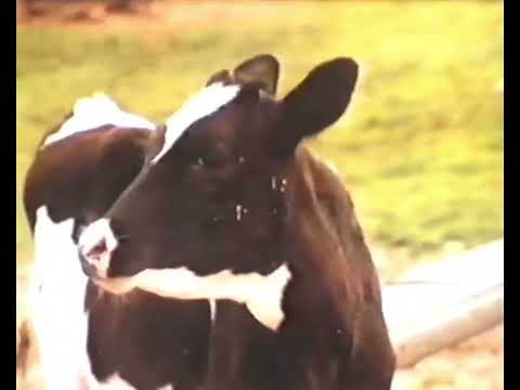 Emmerdale farm intro 1988