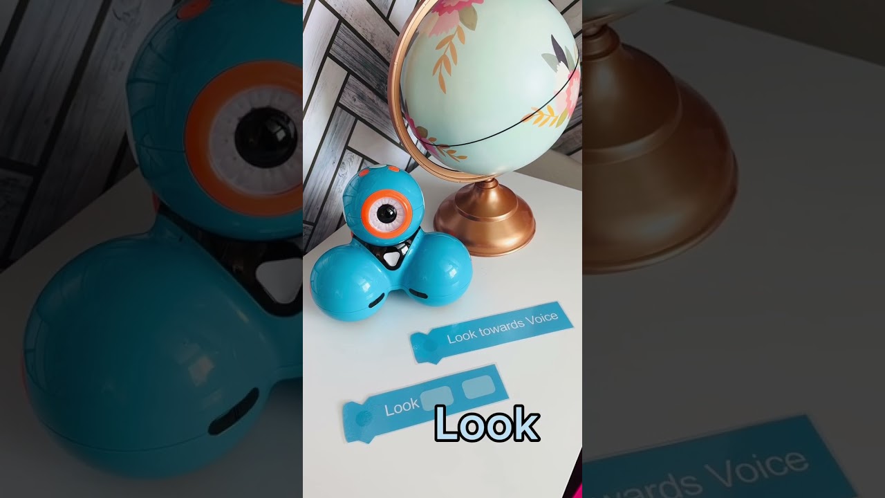 What do the Blocks when coding in Blockly Mean? by Wonder Workshop