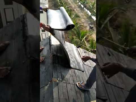 APP Membrane - Damber sheet Latest Price, Manufacturers & Suppliers