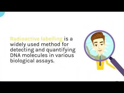 DNA Labelling And It Types