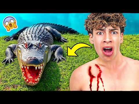 ALLIGATOR ATTACKED FERRAN..EMERGENCY! (The Royalty Family)