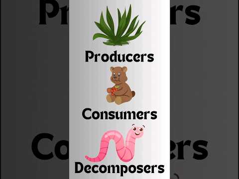 Explanation of Producers|Consumers|Decomposers #producers#consumers#decomposers #EVS#onlyforlearnes