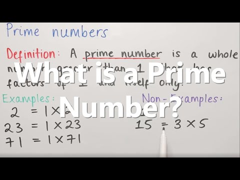 What is a Prime Number?
