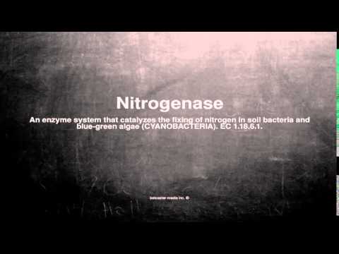 Medical vocabulary: What does Nitrogenase mean
