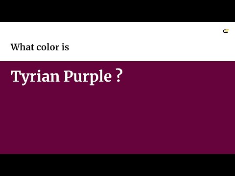 Tyrian Purple color #66023c hex color - Violet color - Cool color 66023c