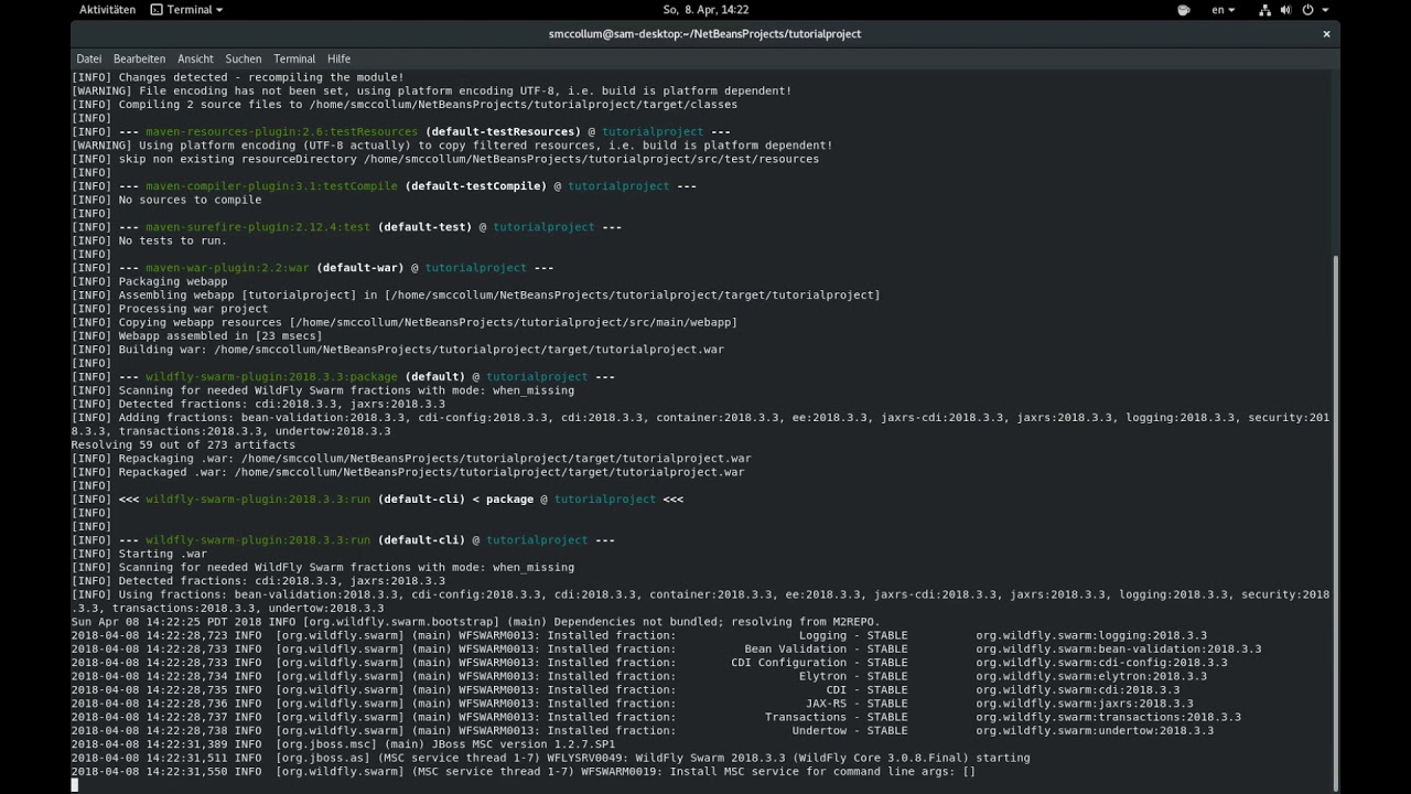 JavaEE/JakartaEE Tutorial 02 - Run your Project