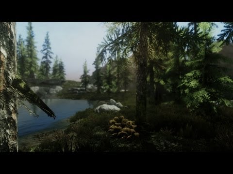 Skyrim ENB Presets - TES V - Skyrim Stark ENB