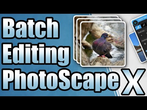 Batch Photo Editing - PhotoScape X Tutorial