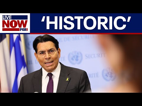 US strikes Iran: Entire world is safer, Israel UN ambassador says