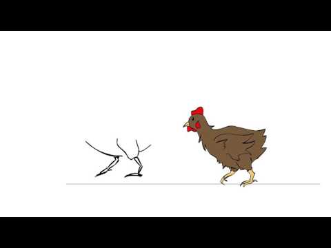 Chicken Walk cycle – thefluxisanimationproject