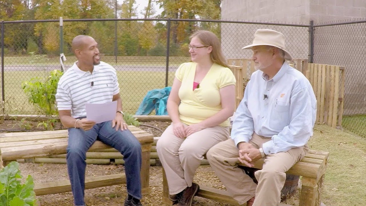 The Family Plot - October 24, 2020