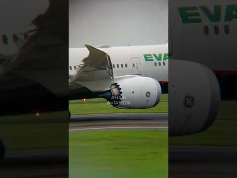 EVA" stands for Evergreen Airways, is the national airline of Taiwan based at Taoyuan. #evaair
