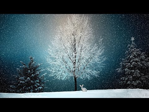 "Finding Meaning in the Winter Solstice" by Syntysche Groverland