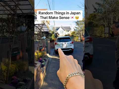 This Japanese Car Sticker Has a Secret Meaning