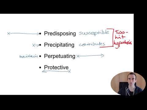 4P Factor Model