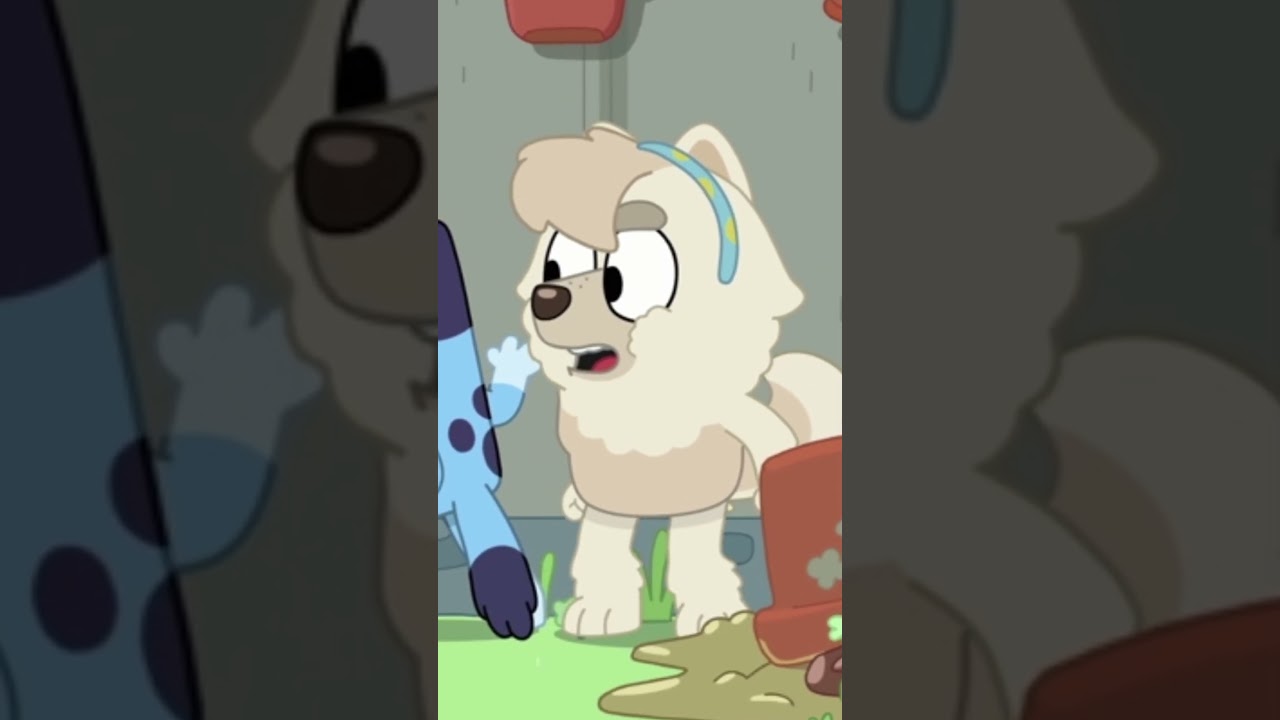 Is Judo The Worst Character in Bluey?! #shorts #bluey
