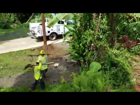 Maui Electric Bring Customers Online After Hurricane Lane