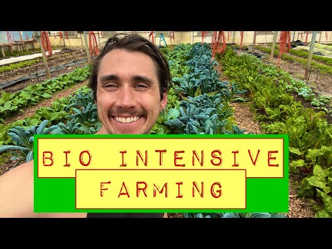 Bio-intensive Farming: what is it? And how to do it