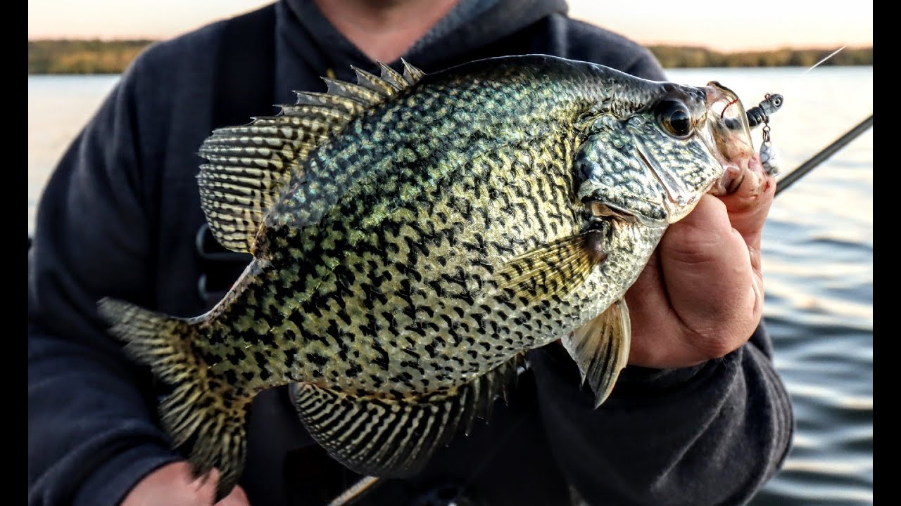 Jig Trolling for Fall Crappies