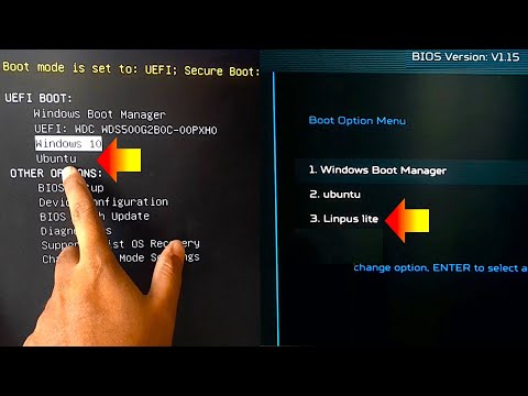 How to Delete UEFI Boot option from BIOS Boot Manager in Windows 11, 10