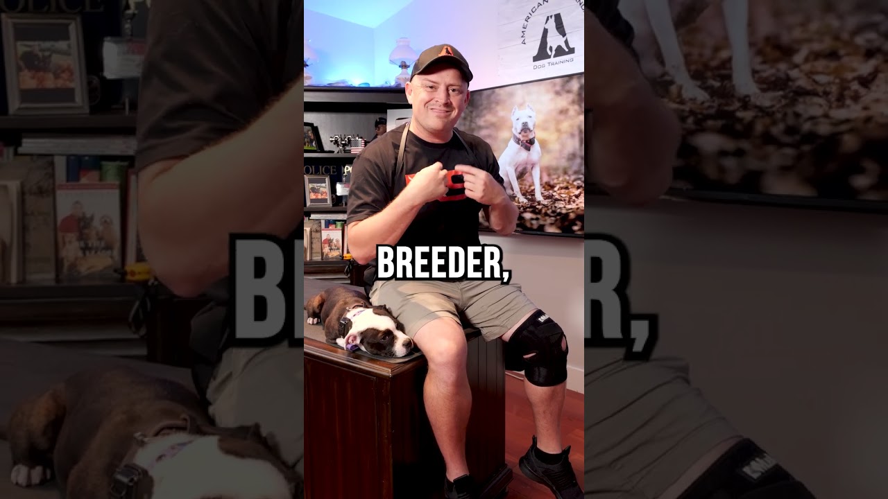 How to Pick the Right Breeder