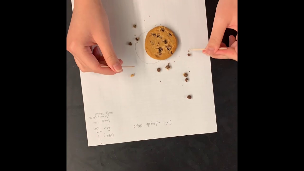 Cookie Mining Lab Timelapse