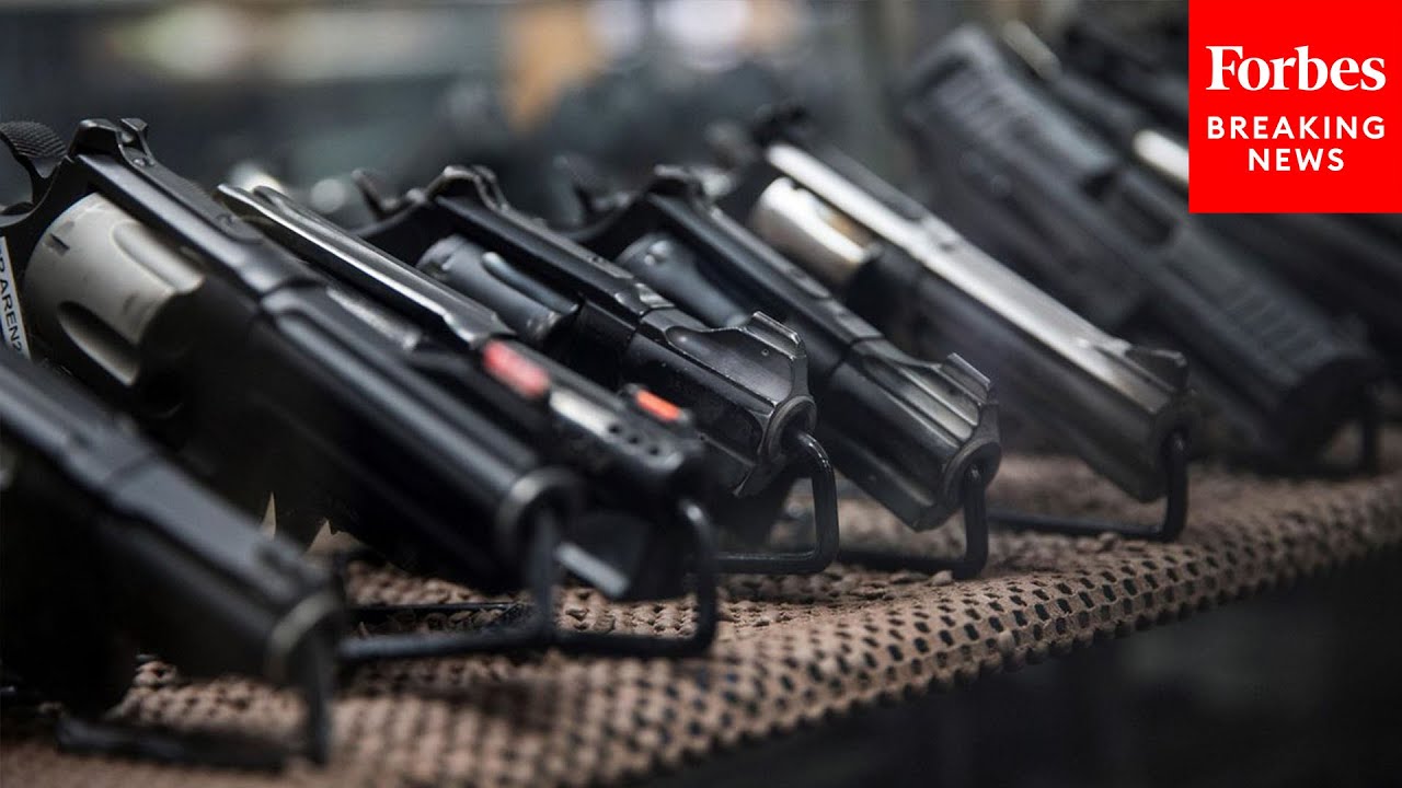 GOP lawmaker rips Democrats' gun control bill, warns it threatens Second Amendment