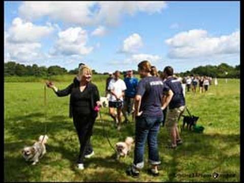 MSPCA at Nevins Farm Walk for Animals 2009