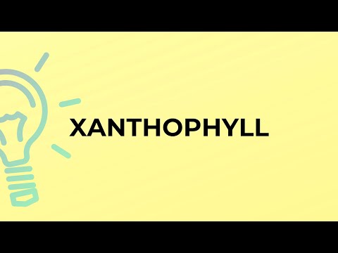What is the meaning of the word XANTHOPHYLL?