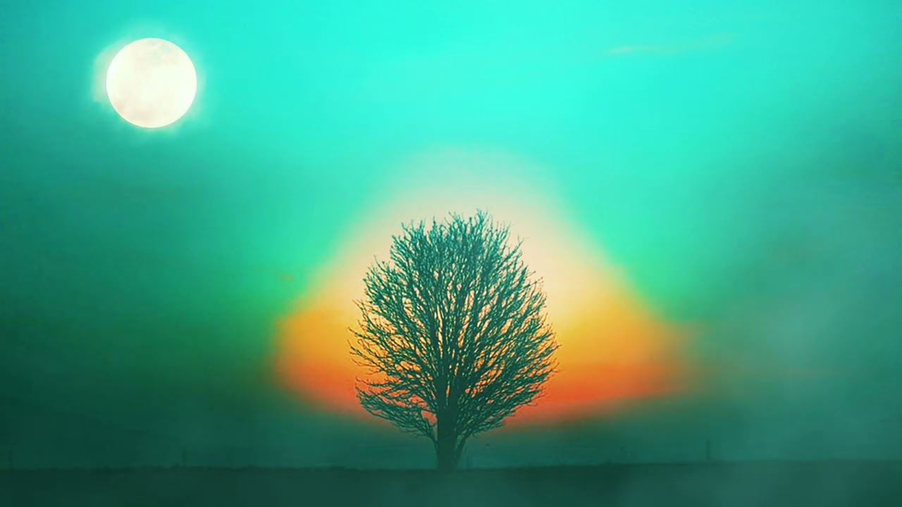 4K Full Moon No Copyright Video | Tree Copyright Free Videos | Sky Free Stock Videos | Free Footage