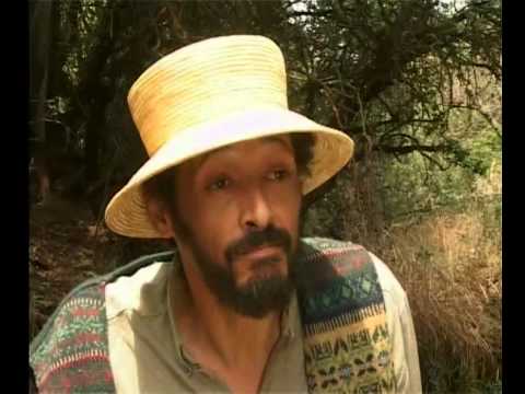 What Is A Habitat? (English)