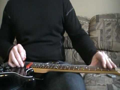 Evans Eliminator / Noiseless Strat Pickups | Reverb