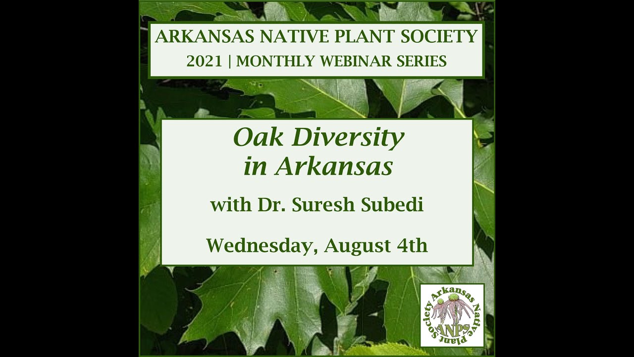 Oak Diversity in Arkansas with Dr. Suresh Subedi