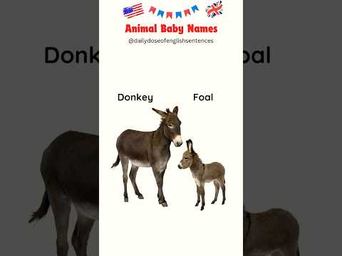Animals and Their Babies: Learn Animal Baby Names with Pictures πΎπ£ #learnenglish #english #animals
