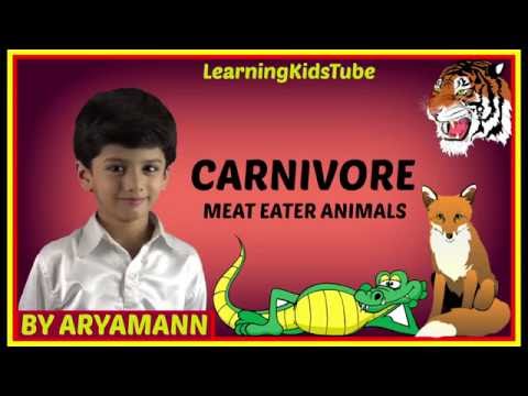 CARNIVORE: MEAT EATER ANIMALS, BY ARYAMANN Science Lesson