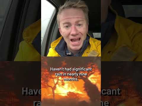 Why did Palisades fires spread so quickly in California? Climate reporter explains